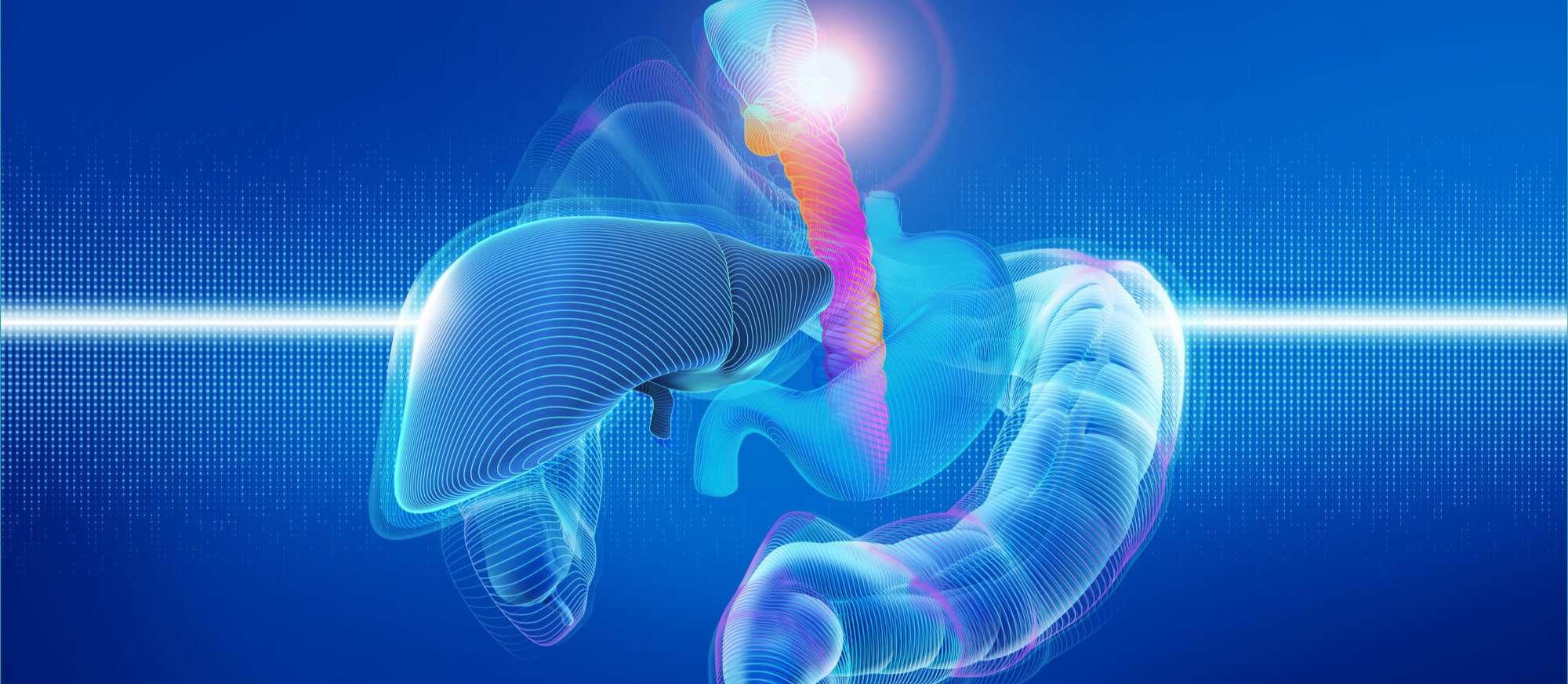 Dr. Falk: Medical Education goes digital! | cyperfection